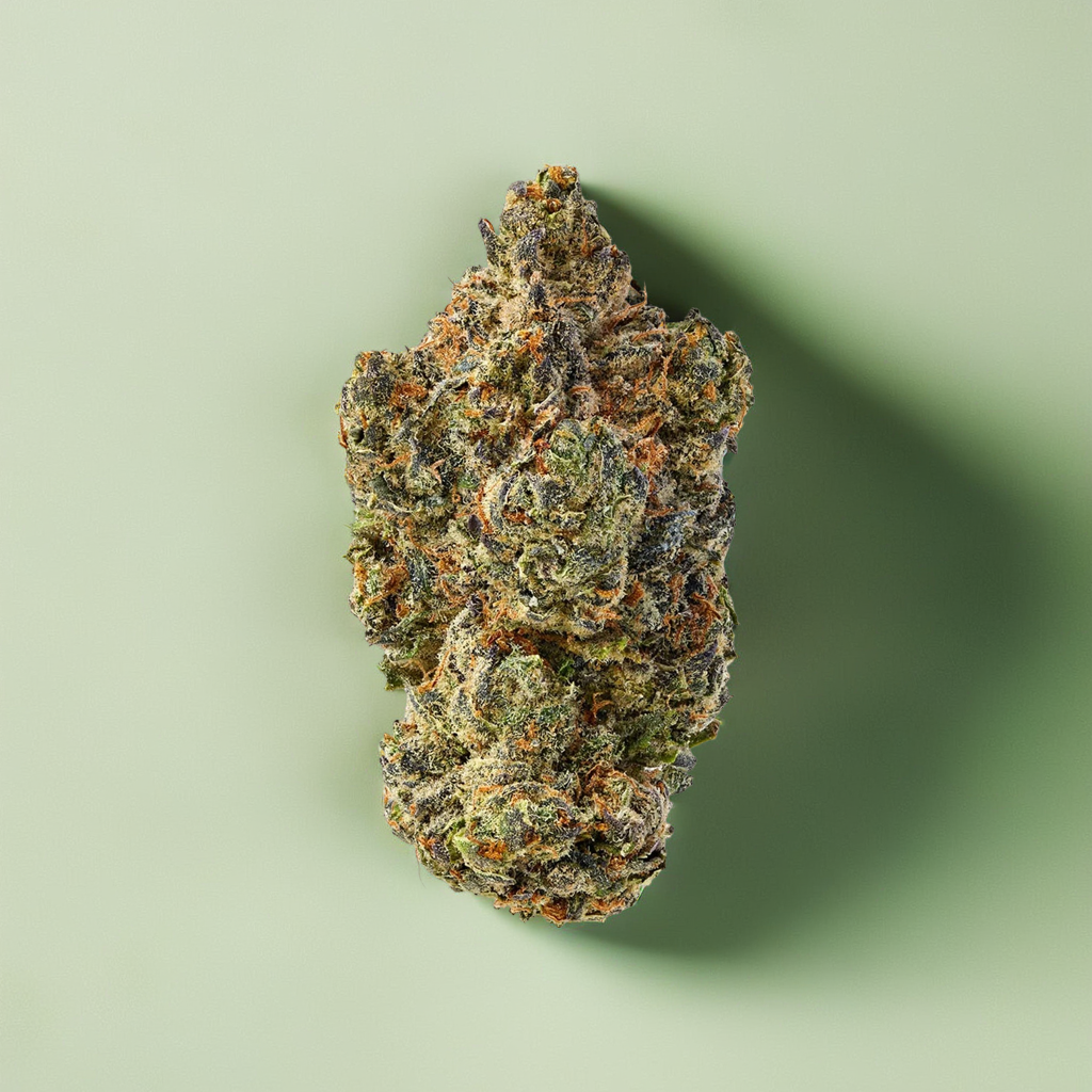 Hybrid • Mac 1– ZENZURI